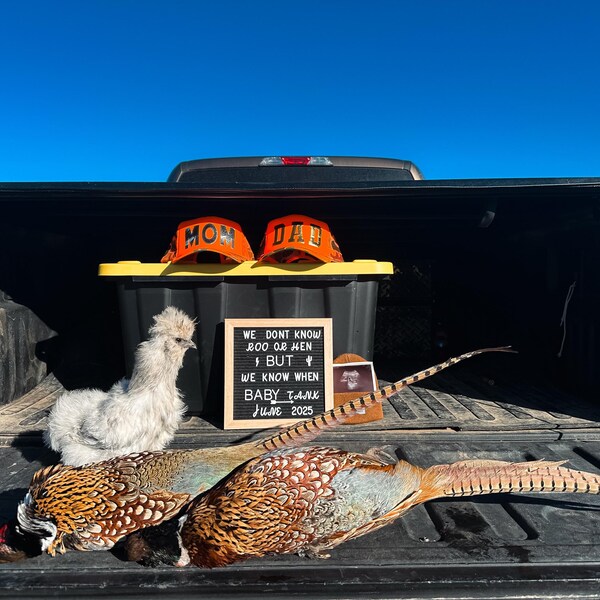 Custom Puff Print Hat, Custom Foam Hat, Custom Mesh Trucker Hat, High ...