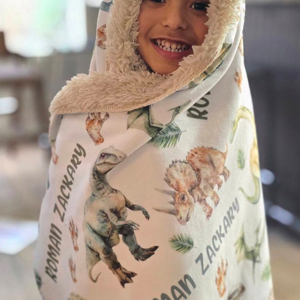 AIRPLANE BIRTH STAT Sign, Newborn Boy Baby Announcement Sign, Blue ...