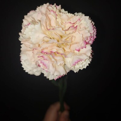 Peach Blush Carnations, Real Touch Carnations DIY Wedding Flowers Silk ...