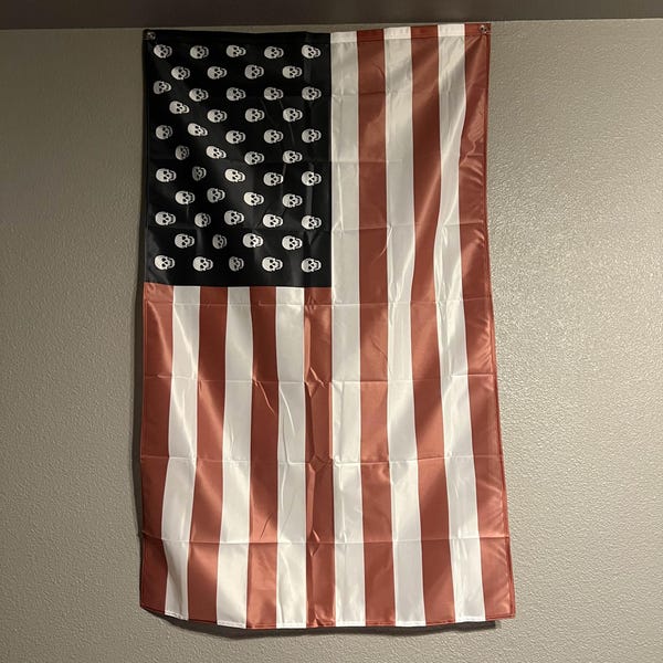 USA Pirate Flag | the Pirate Project | Unique Design Print | High ...