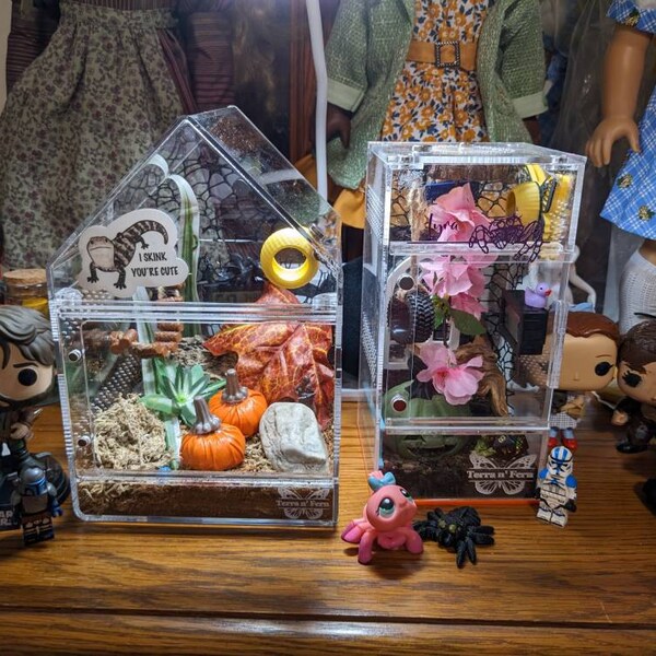 Luna Moth Spider Hide - Etsy