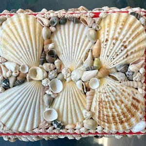 Giant Clam Sea Shell Complete Pair Fluted Clam Trinket Dish Display ...