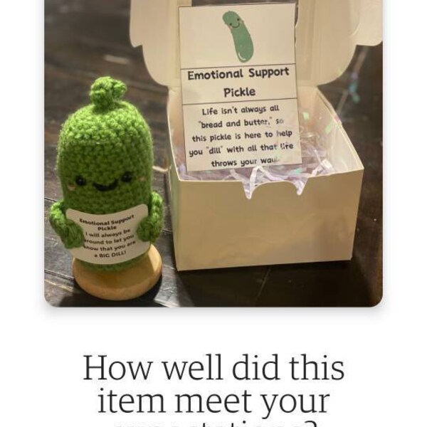 Pattern and Sign Only: Dumpster Fire Emotional Support Crochet Pdf X2 ...