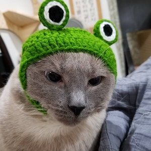 Green Knitted Yarn Frog Hat for Cat or Samll Animal Small and | Etsy