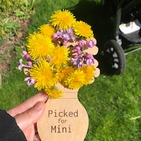 Winkle Berry Freeze Dried Peach Rings BIG - Etsy