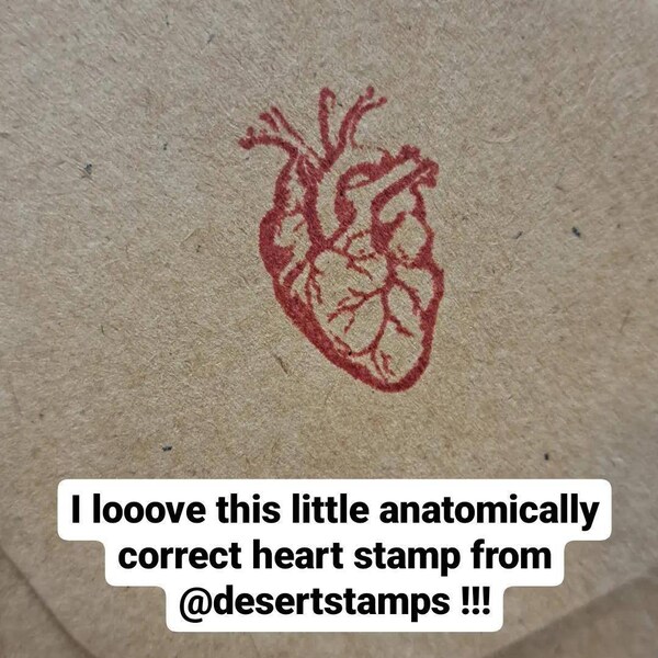 Human Heart RUBBER STAMP, Steampunk Stamp, Anatomy Stamp, Medical Stamp ...
