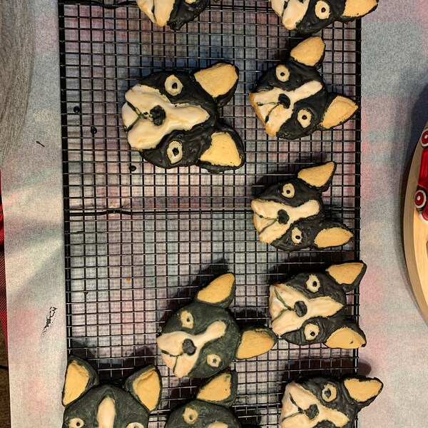 Cole the Boston Terrier - Boston Terrier Cookie Cutter - Dog Face ...
