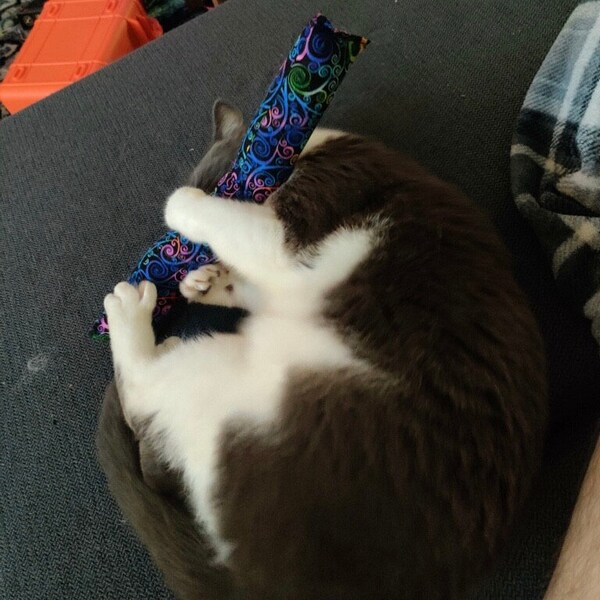 Sir Reginald Kick Stick, Cat Toy, Organic Catnip Kicker Toy - Etsy