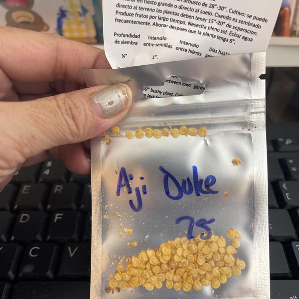 SEEDS Aji Dulce Puerto Rico Sweet Pepper | 75 Heirloom Seeds | Capsicum ...