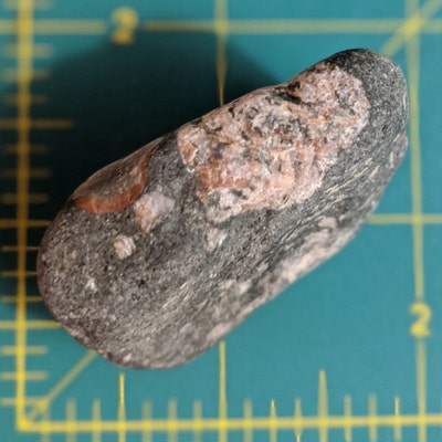 Coldwater Lace Agate Stromatolite Fossil Mississippi River Rock ...