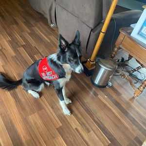 Vest select Your Size, STOP Do Not Approach, Light Weight Sd Style Vest ...