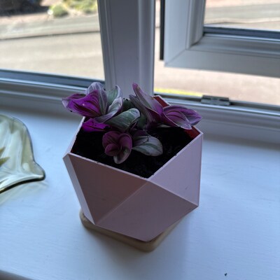 Pastel Coloured Rounded Cube Pot Planter Pot With Feet - Etsy