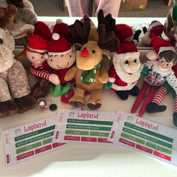 Christmas Elves Surprise Trip Reveal Kids Treasure Hunt Clues ...