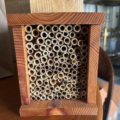 Bee Nesting Material Combo Pack Natural Phragmite Reeds and Cardboard ...