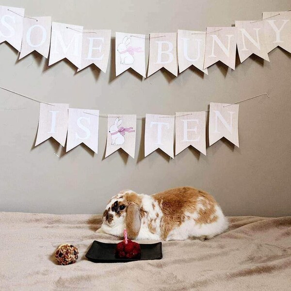 Daisy Happy Birthday Banner, Spring Flower or Summer Birthday Party ...