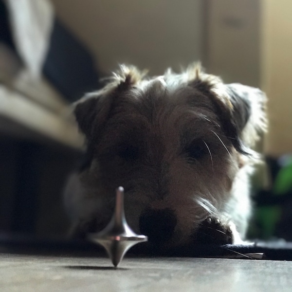 Cast Iron Spinning Top / Fidget / Inception Totem - Etsy