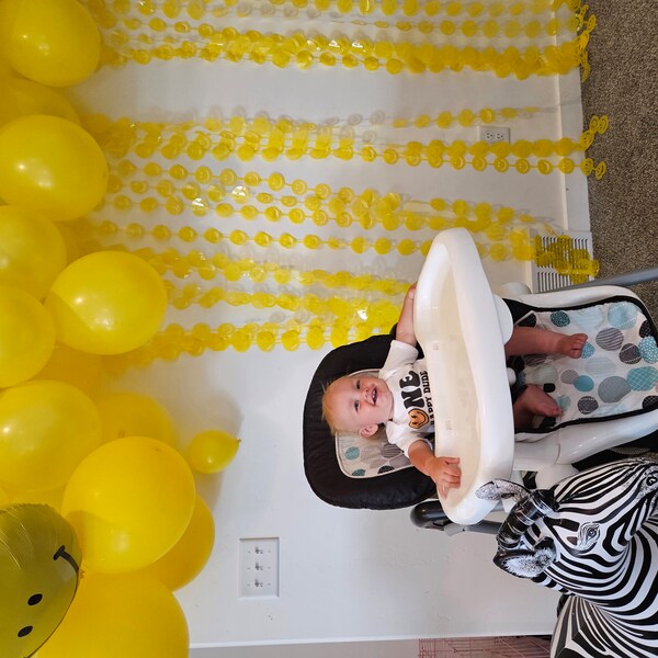 One Happy Dude Family Birthday Shirts, 1st Birthday Shirt, Smiley Face ...