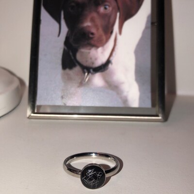 Hair Ring, Pet Fur Ring, Pet Loss Jewelry, Hair Memorial, Fur Memorial ...