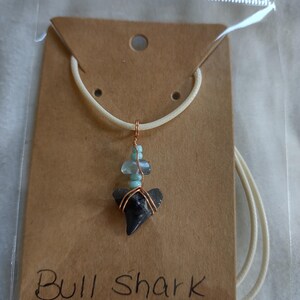 Wire Wrapped Corded Shark Tooth Necklace - Etsy