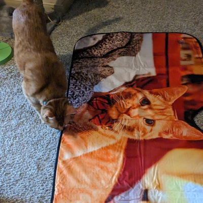 1717 Comfort Colors Chart Mockup, Comfort Color Choices T-shirts Mock ...