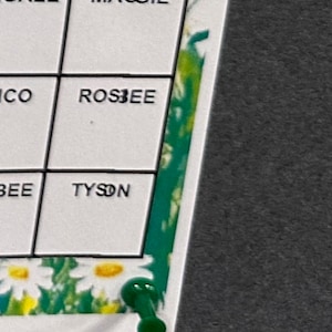 Official Pool Game Rules Print UK British 8 Ball League English Table ...