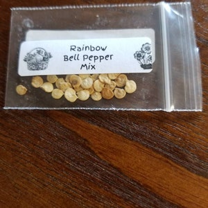 USA SELLER Obsession Sweet Corn 25 Seeds HEIRLOOM | Etsy