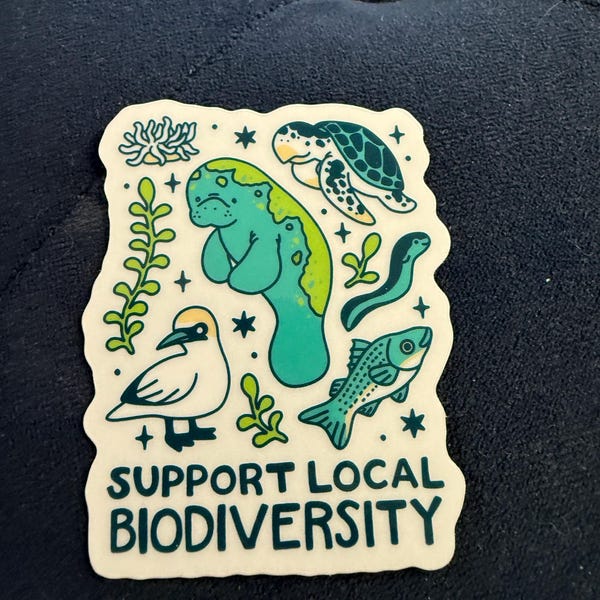 Support Local Biodiversity Clear Vinyl Stickers | Appalchia, Midwest ...