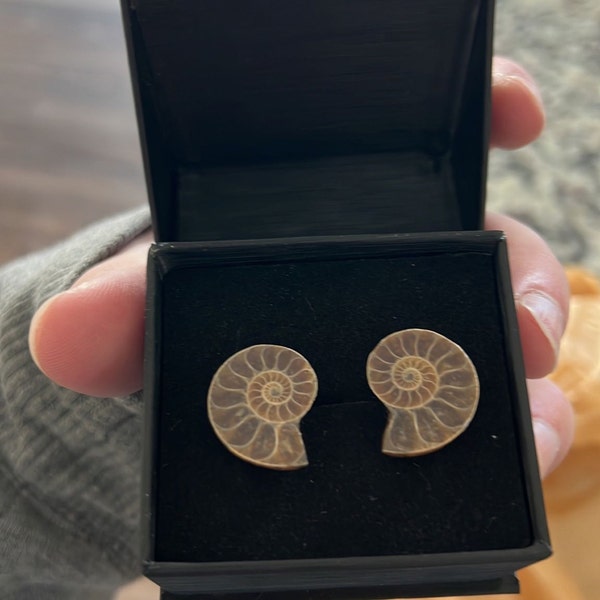 Ammonite Fossil Cufflinks. Golden Ratio, Men's Cufflinks. for Dad, Gift ...