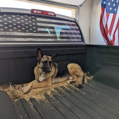 Funny Stick Figure Window Decal 10x10 in White making of a Stick Figure ...