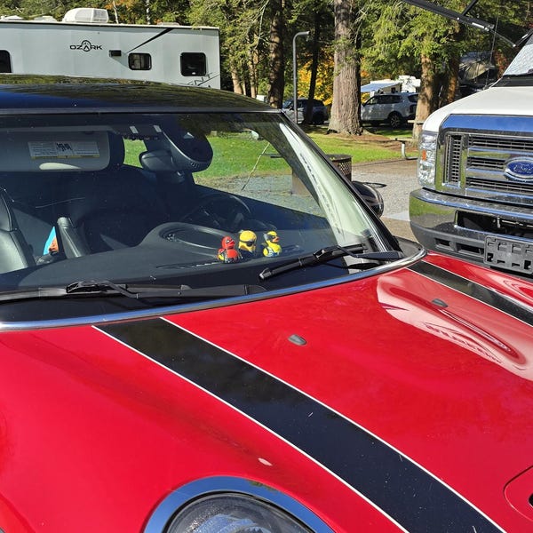 DEADPOOL and WOLVERINE Premium Ducks | Available in 4 Sizes | Deadpool ...