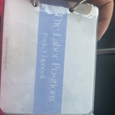 Ultimate Labor and Delivery Nurse Bundle PRINTABLE PDF Study Guide ...