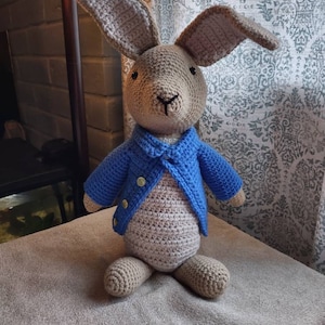 Large Peter Rabbit Crochet Pattern, Amigurumi Rabbit Pattern, Peter ...