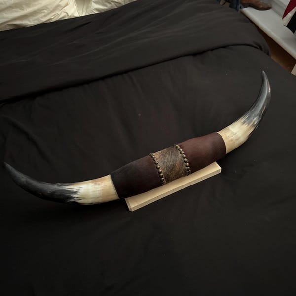 Mounted LONGHORN Steer Horn 5 FEET to 5 Feet 6" Inch Wide (ONE Only ...