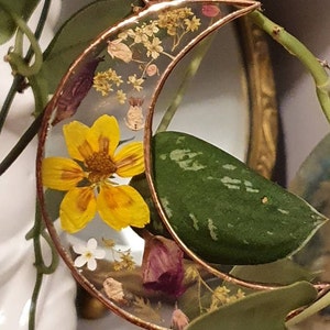 Glass Pressed Round Circle Flower Frame Forget Me Not Blue Wall Hanging ...