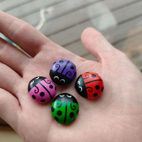 Rainbow Ladybug (one) | Acrylic Hand Painted | Cute Gift | Painted ...