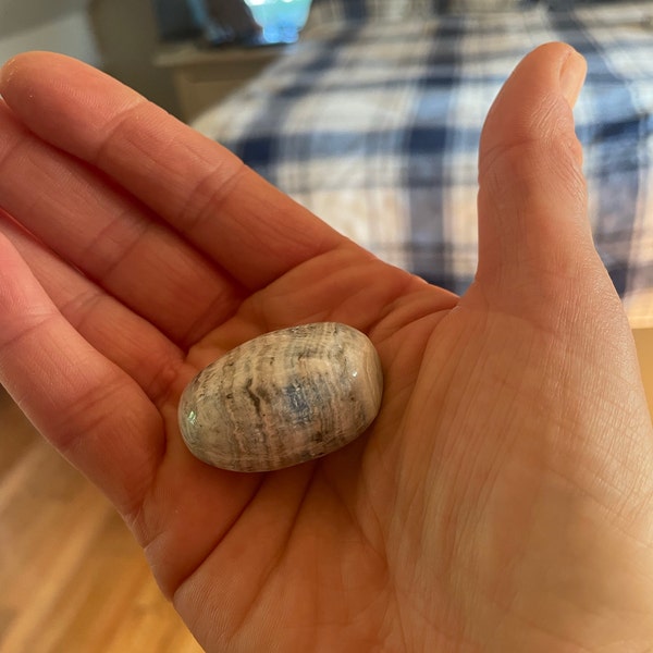 Chunky Blue Scheelite Tumbles, Pocket Crystals, Crystals for Grids ...