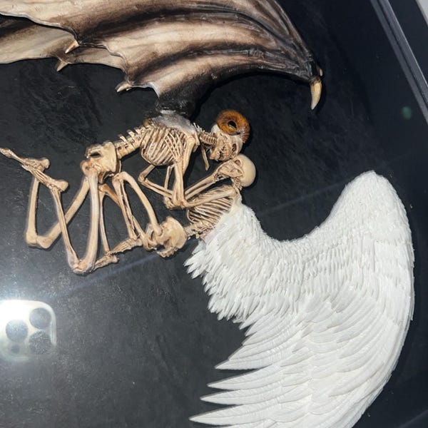 Sphinx Skeleton, Curiosity Cabinet - Etsy