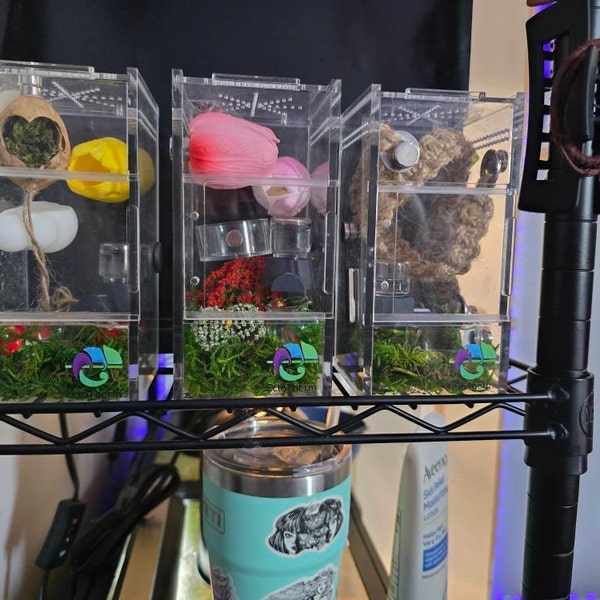 Wicking Water Feeder Trough for Small Pets Insects, Spiders, Tarantulas ...