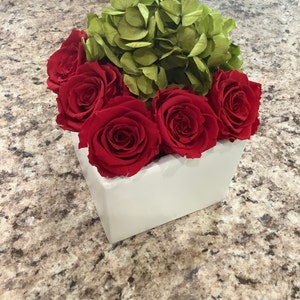 Venus Planter Head Goddess Statue With Preserved Rose | Etsy