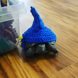 Tortoise Shark Sweater - Etsy
