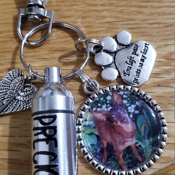 Pet Cremation Key Chain Photo Memorial Key Ring Pet Hair Key Ring for ...