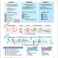 Nursing School Notes Success Bundle: Fundamentals, Medsurg ...