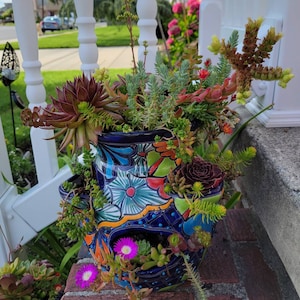 String of Little Pickles, Othonna Capensis ruby Necklace in 2 Inches ...