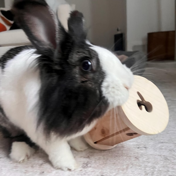 Coffee+bunnnies Tote Bag, Rabbit Lover Tote Bag, Bunny Mom Bag, Gift ...