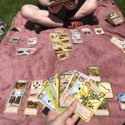 Ecologies Card Game Gameplay Inspired by Nature Use - Etsy