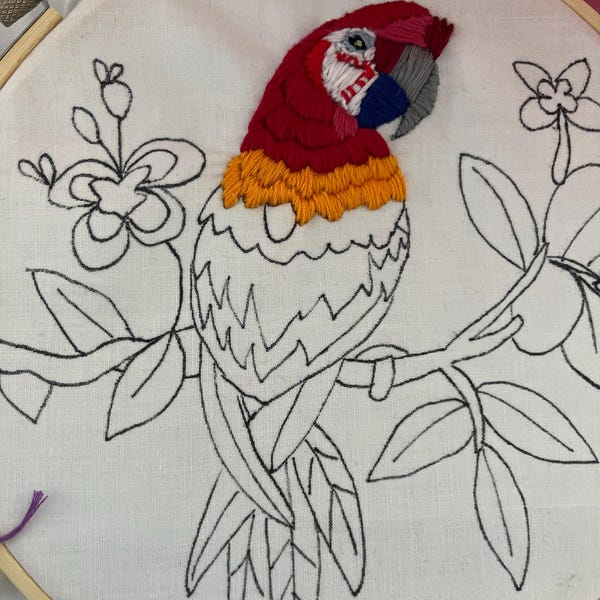 Parrot Hand Embroidery Pattern, Gift for Bird Lovers, Tropical Parrot Pattern, Tropical Bird ...