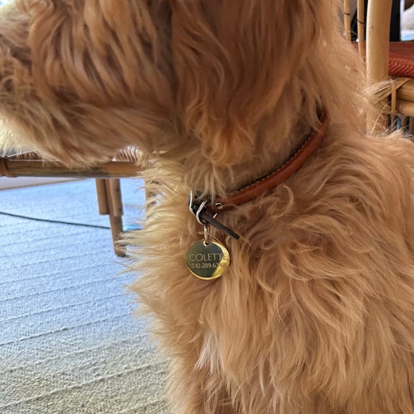Personalized Gold Dog Tag Custom Engraved ID for Dogs Microchip ...