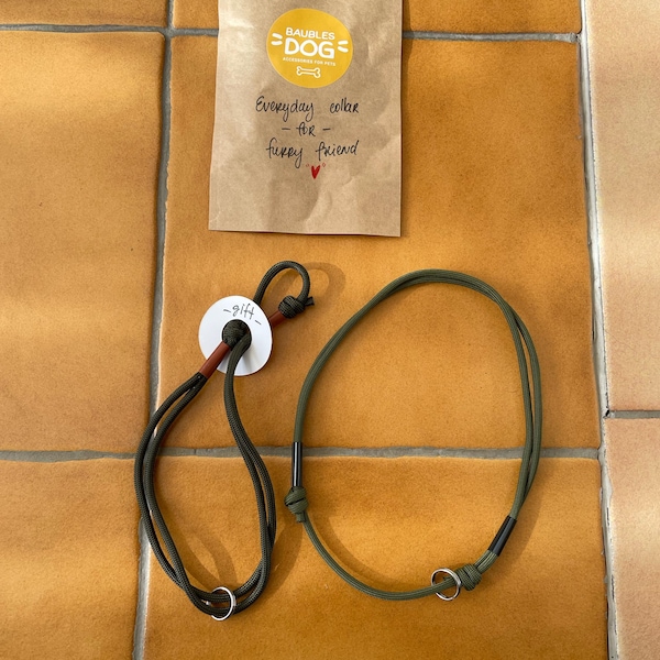 Plectrum Dog Tag, Guitar Pick Id Tag, Musician Pet Tag, Rock Id Tag ...