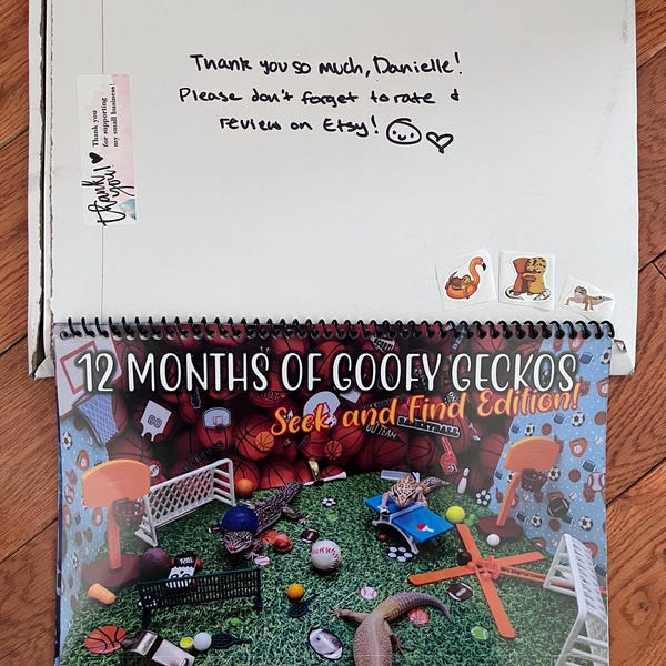 12 Months of Goofy Geckos Seek and Find 2025 Calendar - Etsy