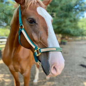 Personalized Horse Halter Halter Monogrammed Horse Halter - Etsy